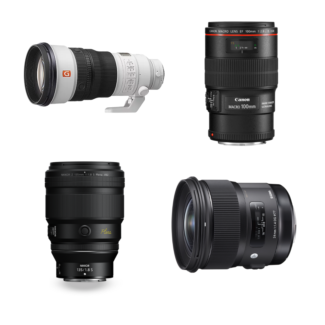 Lens – Exports King